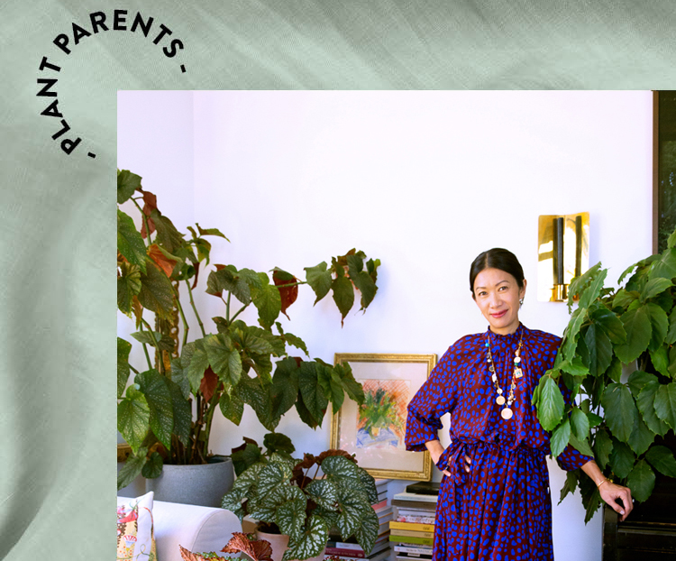 How Domino’s Executive Creative Director, Kate Berry, Grew a Garden in ...